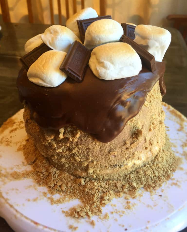 S'more Cake - FlyPeachPie