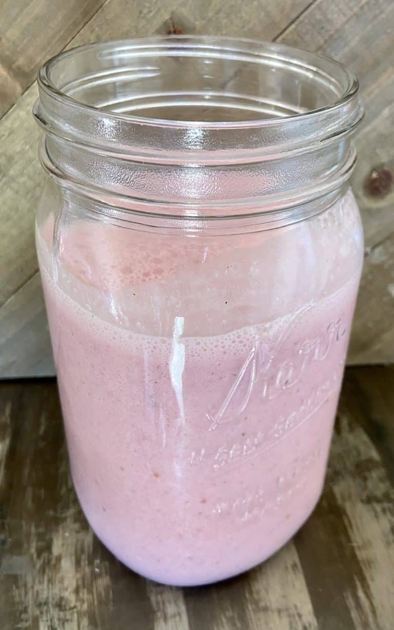 Raspberry Probiotic Protein Shake - FlyPeachPie