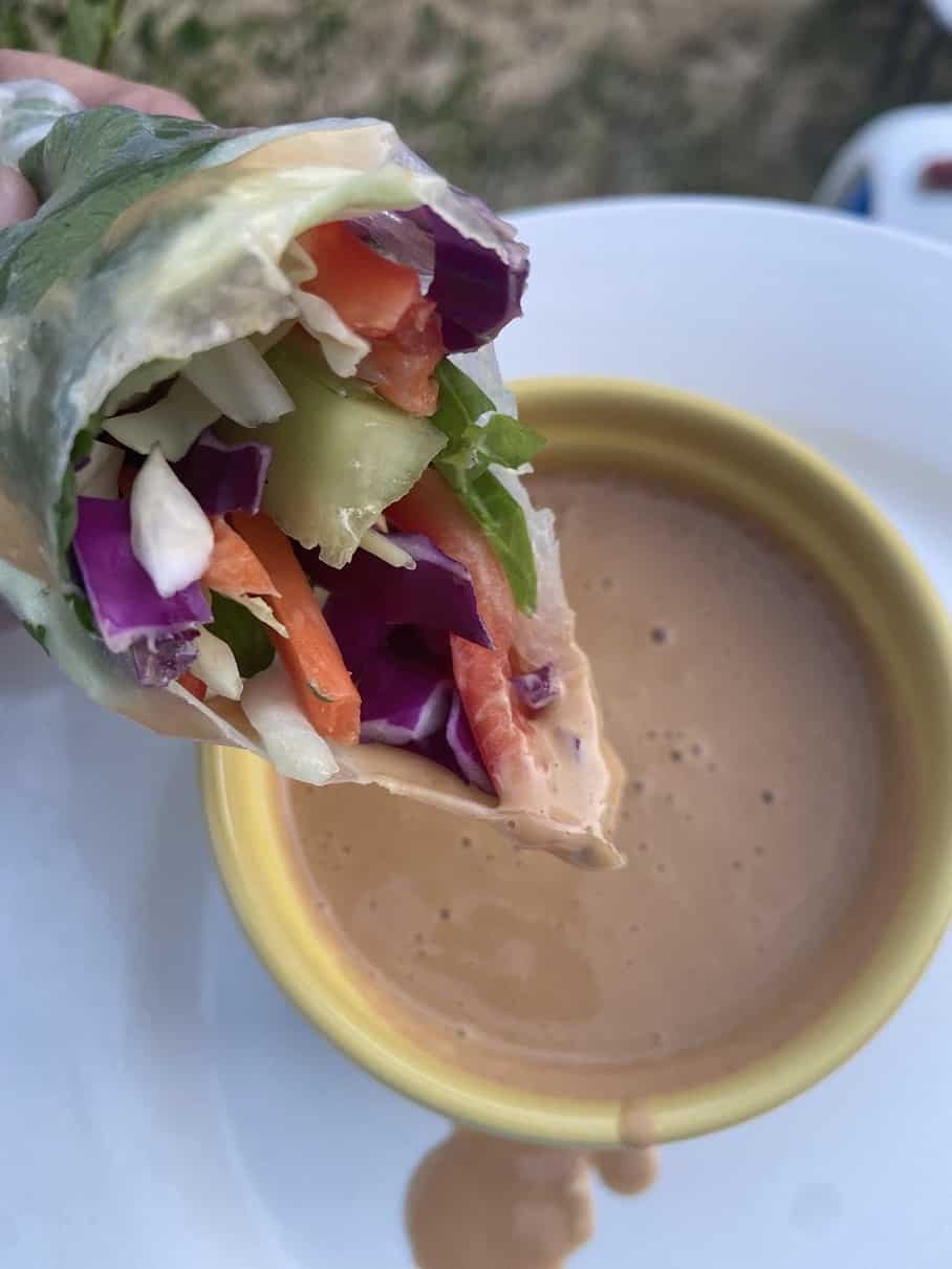 Rainbow Vegetable Spring Rolls - FlyPeachPie