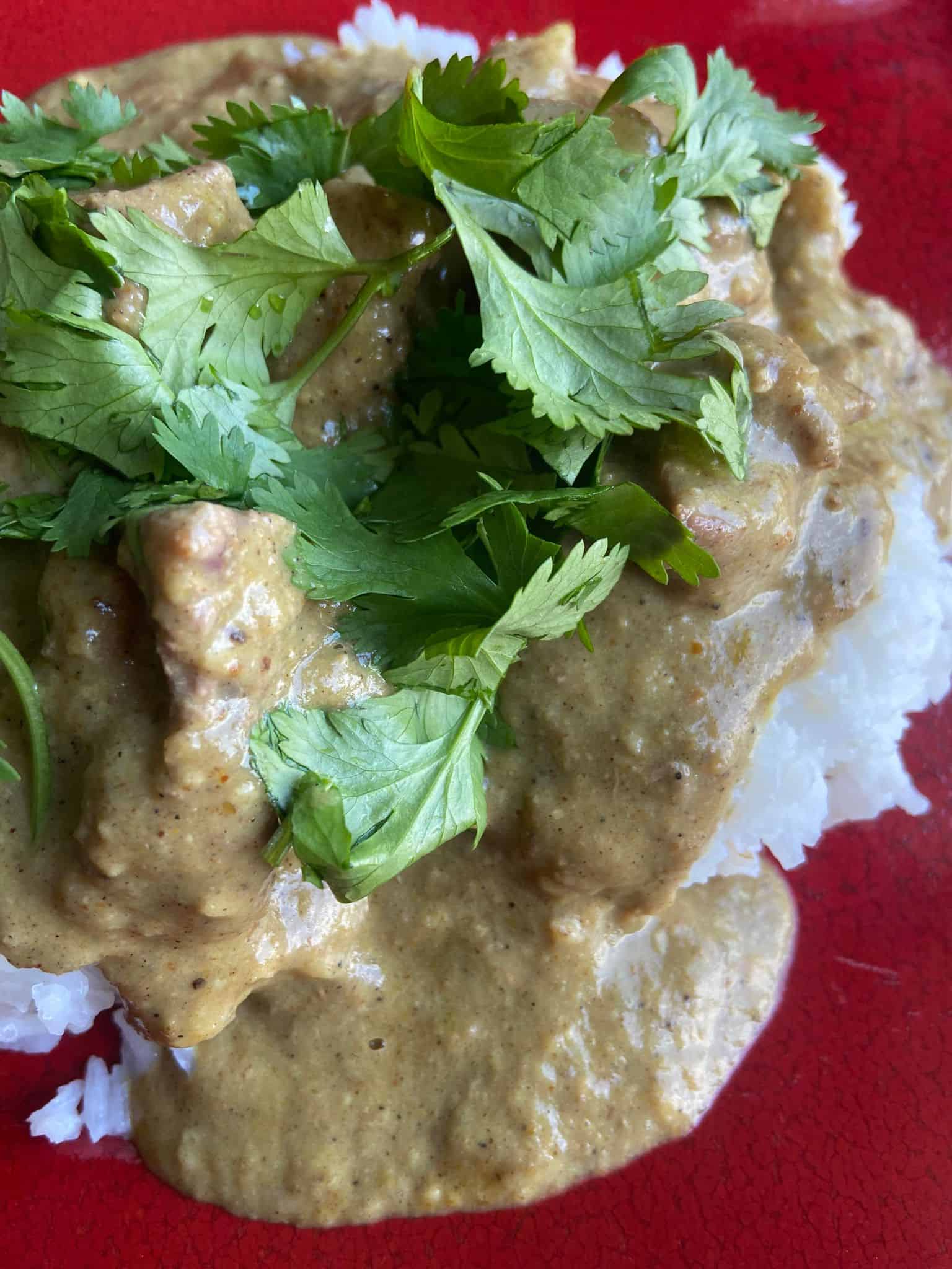 Instant Pot Lamb Coconut Korma - FlyPeachPie